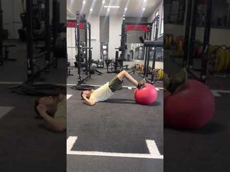 Physioball Hamstring Curl YouTube