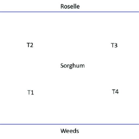 Three Dimensional Model Showing Only Trypsin Serine Protease With The