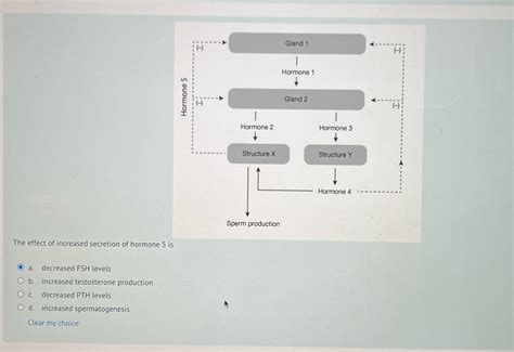 Solved The Effect Of Increased Secretion Of Hormone 5 ﻿isa