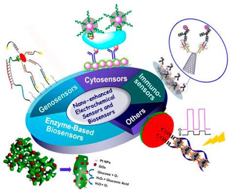 Distinct Strategies For The Electrochemical Detection Of H2o2 Including