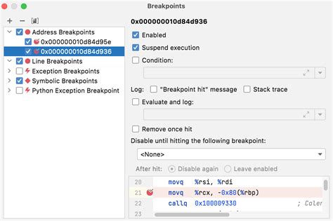 Disassembly View Clion Documentation