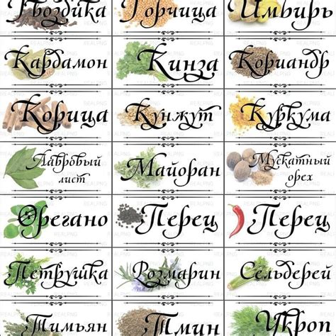 Шаблоны этикетки на банки со специями
