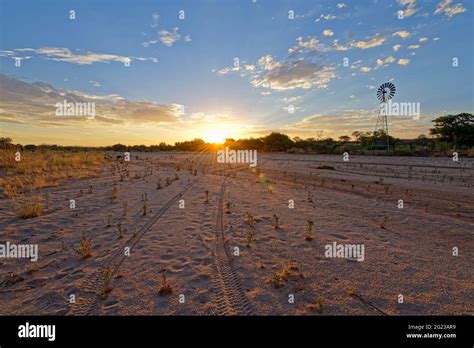 Car Track In Dry Omaruru River Dry River Near Omaruru Sunset Erongo Region Namibia Stock