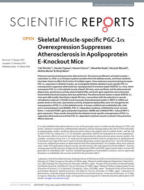 Pdf Skeletal Muscle Specific Pgc 1α Overexpression Suppresses Atherosclerosis In