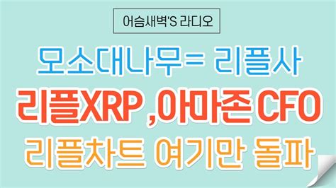 리플 호재 특급아마존 전 Cfo 영입메타코 인수 Youtube