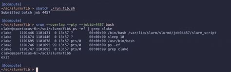 Job Scheduling With Slurm Sci It