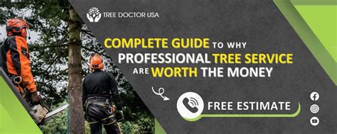 A Complete Guide To Why Professional Tree Service Are Worth The Money