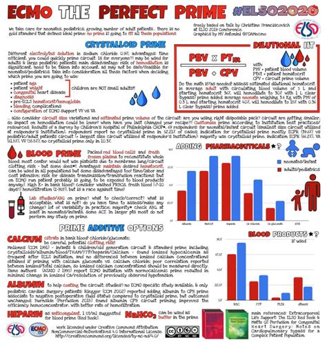 Perfect Prime For Ecmo Circuit Marta Velia Antonini