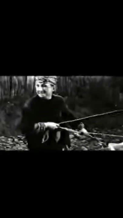 თხა კოლექტივში Comedy Youtube