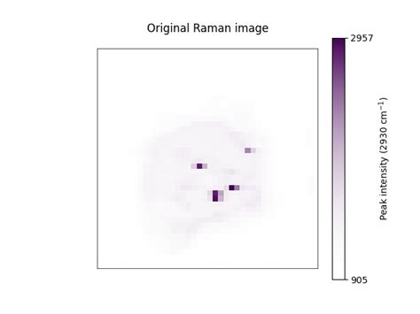 Custom Pipelines RamanSPy