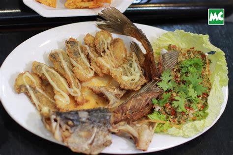 Celebrity မိသားစု ဖွင့်ထားတဲ့ Bar 86