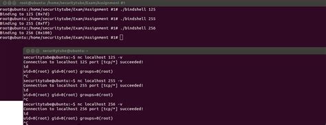 C Changing Shellcode Bytes At The Middle Or At Shellcode Offset