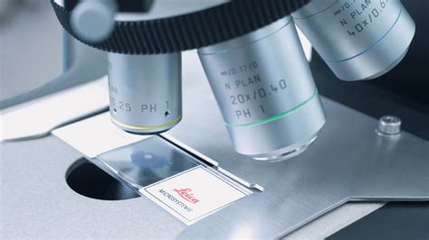 Microscope Objective Lens Products Leica Microsystems
