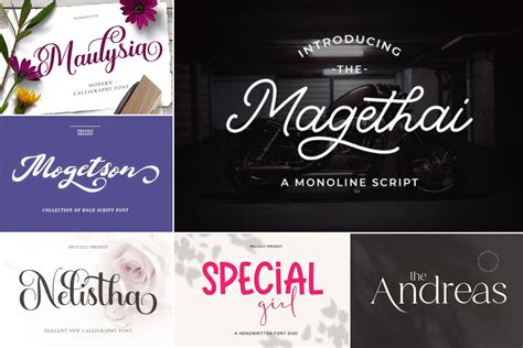 Display And Script Font Bundle Font Bundle Handwritten Font Calligraphy Font Script Font