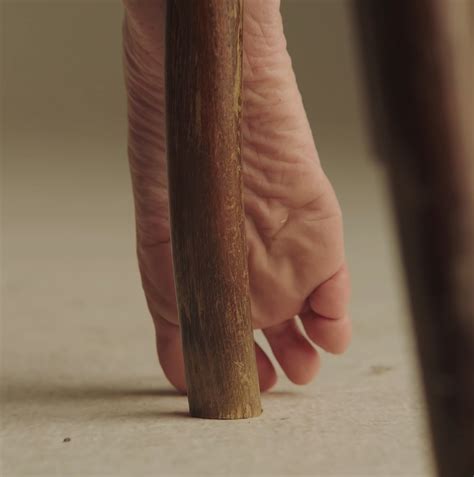 Ninet Tayebs Feet
