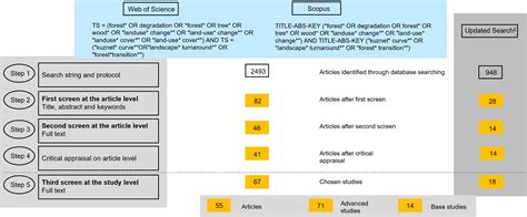 A Systematic Review Of Forest Area Development Drivers Estimated Under