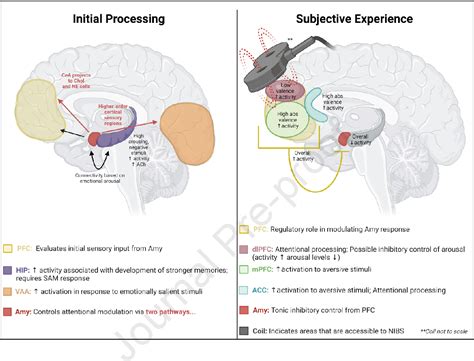 Figure 1 From Effects Of Neuromodulation On Cognitive And Emotional Responses To Psychosocial