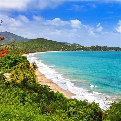 Puerto Rico Physical Features