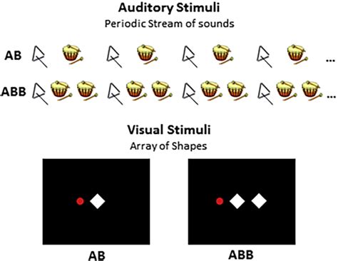 Auditory And Visual Components Of The Stimuli Download Scientific Diagram