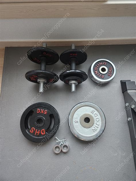 바벨 덤벨 벤치 스쿼트렉 원판 팝니다 헬스용품 중고나라