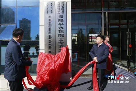袁隆平水稻院士專家工作站落戶內蒙古興安盟 每日頭條