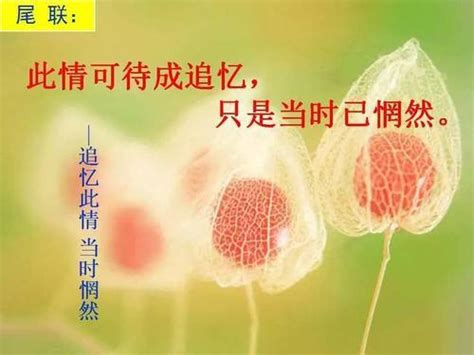 java 程序经验小结：性能优化手段之避免创建不必要的对象 infoq 写作平台