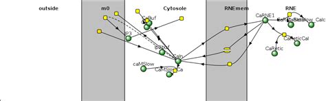 Biomodel 211839191 VCell Modeling Analysis Software