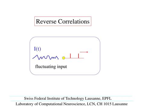 Ppt Introduction Neurons And The Problem Of Neural Coding Powerpoint