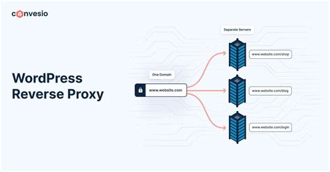 Convesio On Linkedin Reverseproxy