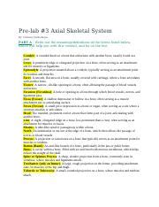 Understanding The Axial Skeletal System Key Terms And Diagrams Course Hero