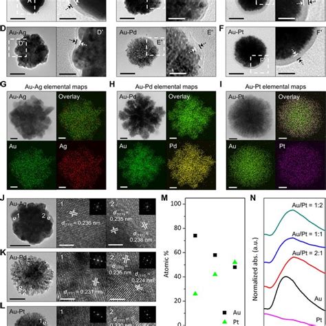 Extension Of Our Proposed Programmable Synthesis To The Selective Download Scientific Diagram