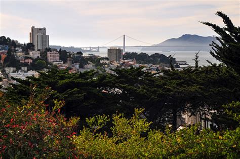 전신 힐에서 샌프란시스코와 골든 게이트 브리지의 전망 샌프란시스코 캘리포니아에 대한 스톡 사진 및 기타 이미지 샌프란시스코