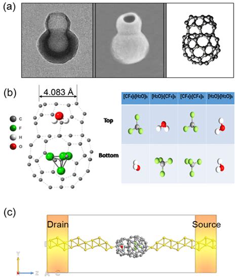a the tem sem image [18] and computational optimization of the