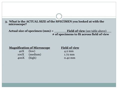 Ppt Microscope Lab Powerpoint Presentation Free Download Id 2516357