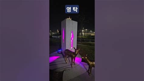 트로트와 퀴즈를 함께 즐기는 채널입니다 영탁 슈퍼슈퍼 숨은단어찾기 치매예방 Youtube