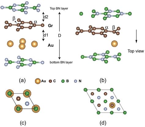A Side View Of One Monolayer Au Doped H Bngrapheneh Bn The Top Bn Download Scientific