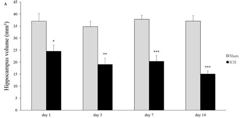 A Evaluation Of Passive Avoidance Learning And Memory By Measuring Download Scientific