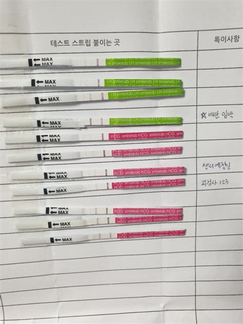 임신초기증상 임테기 사용법스마일 임테기 네이버 블로그