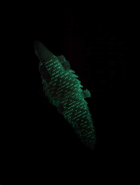 3d Printing Flexi Pangolin • Made With Sovol Sv06・cults