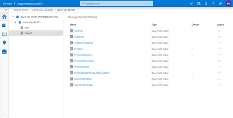 Using Azure Purview To Analyze Metadata Insights