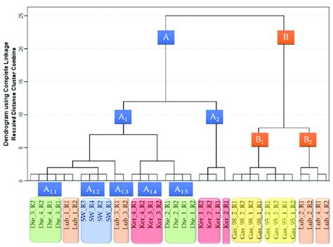 dendrogram obtained by the hierarchical cluster analysis hca of the