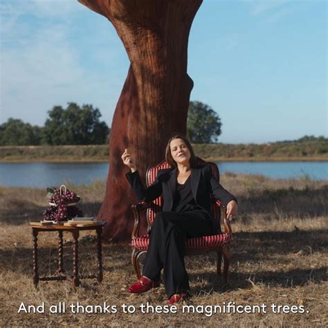 Home Corklink Cork Products Direct From Portugal