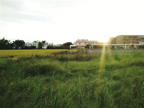 Houses With Grass In Foreground Premium Photo