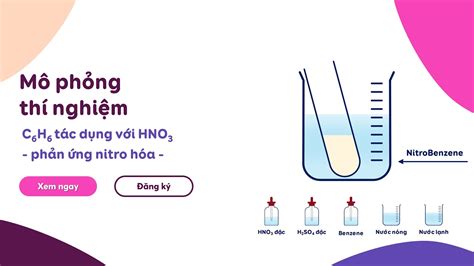 Vị Trí Vòng Benzen Tổng Quan Chi Tiết Và ứng Dụng Thực Tiễn