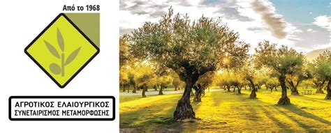 Αγροτικός Συνεταιρισμός Μεταμόρφωσης Λακωνίας