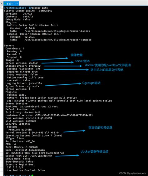 Docker基本管理