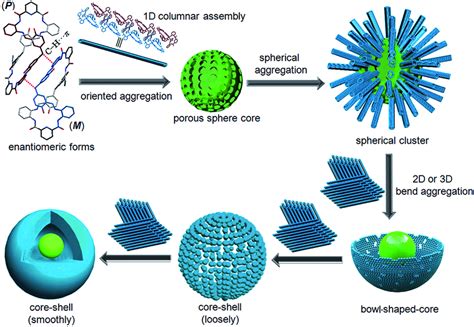 Proposed Growth Process Of The Core Shell Based Microsphere Of Mh Download Scientific Diagram