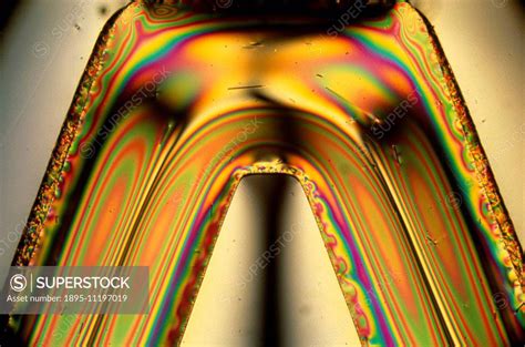 light micrographs sometimes referred to as photomicrographs are