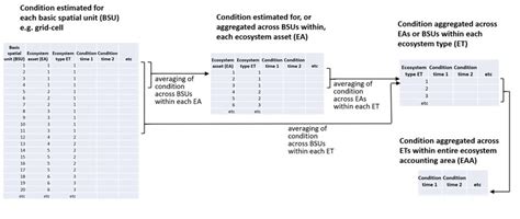 simple aggregation through spatial averaging of condition estimates