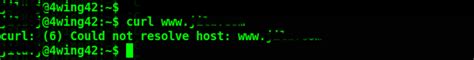 Curl 6 Could Not Resolve Host Ubuntu Why Does This Error Occur